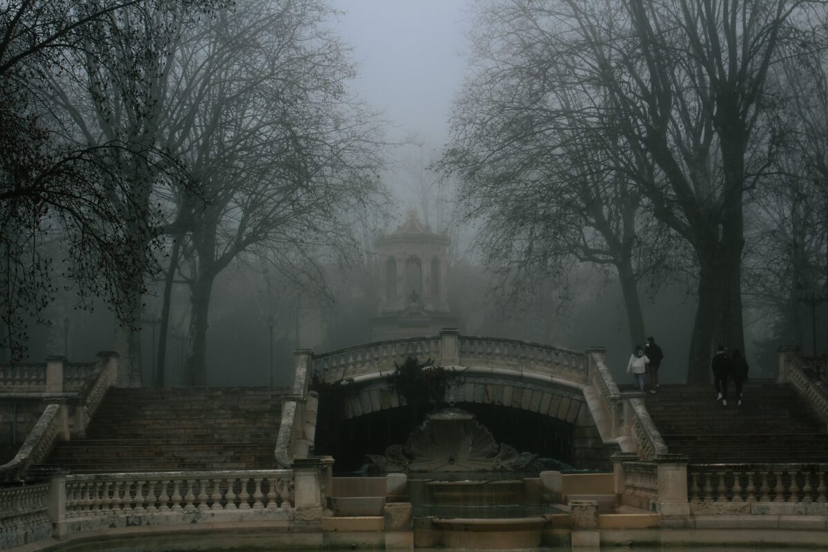 Uncovering Dijon: A One-Day Itinerary For Wine, History, And Gastronomy ...