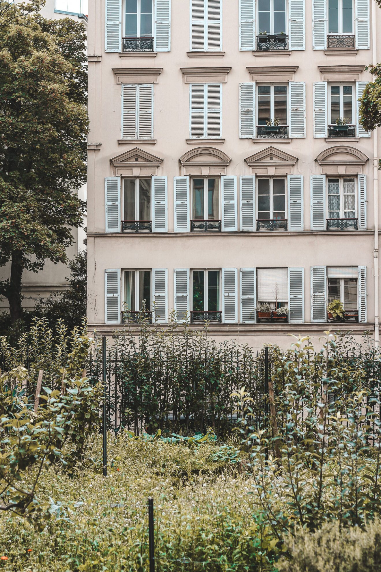 Secret Vines: Hidden Urban Vineyards In Paris - Paris Wine Girl