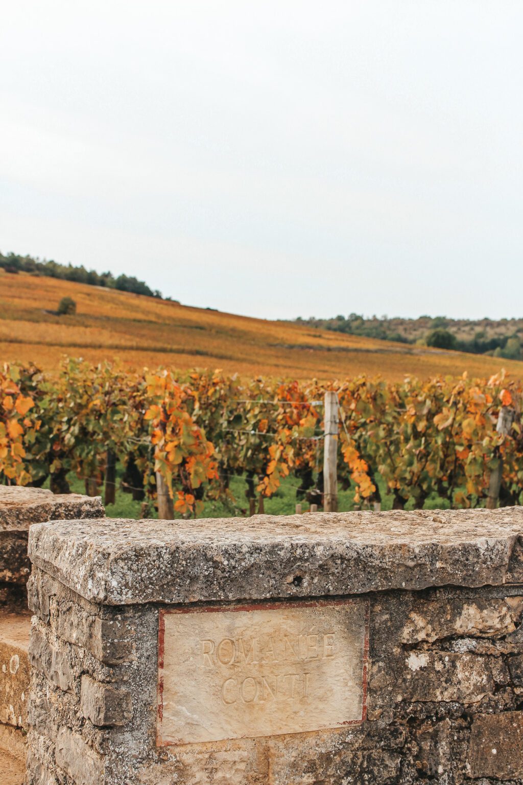 3 Best Ways To Travel From Paris To Burgundy By Train - Paris Wine Girl